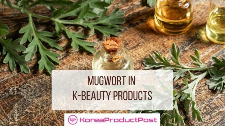 Ingredient Spotlight: Mugwort in K-beauty Products - KoreaProductPost