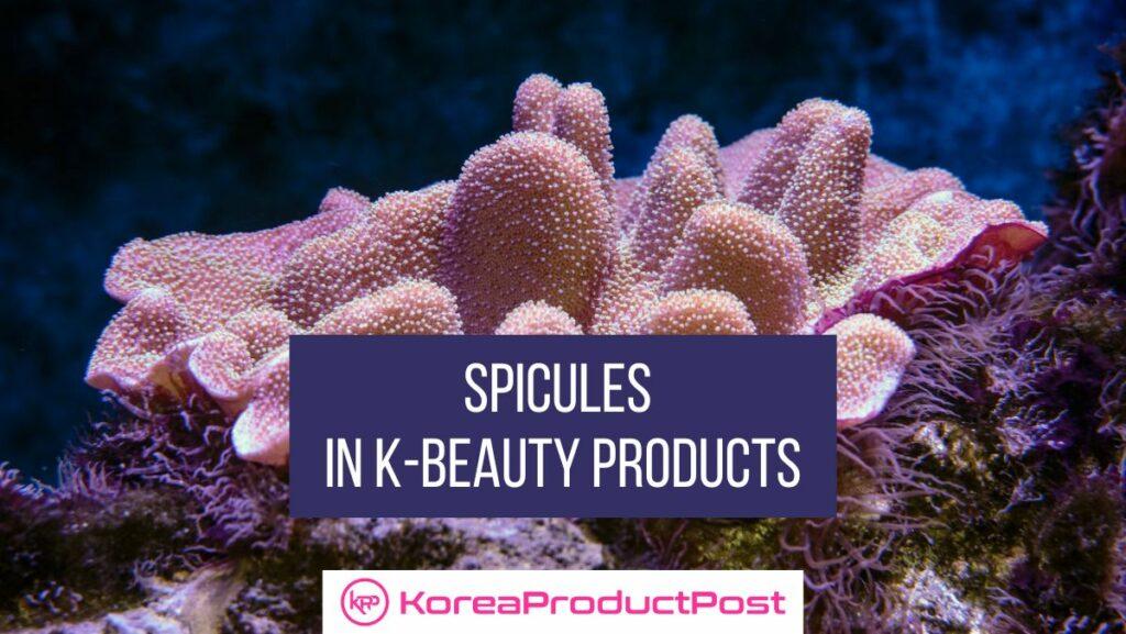 Ingredients Spotlight: Spicules in K-Beauty Products - KoreaProductPost